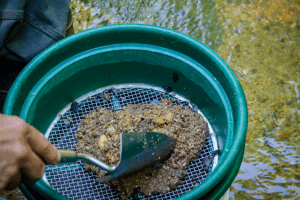 The Ultimate Gold Prospecting Guide - How to Find Gold Like a Pro ...